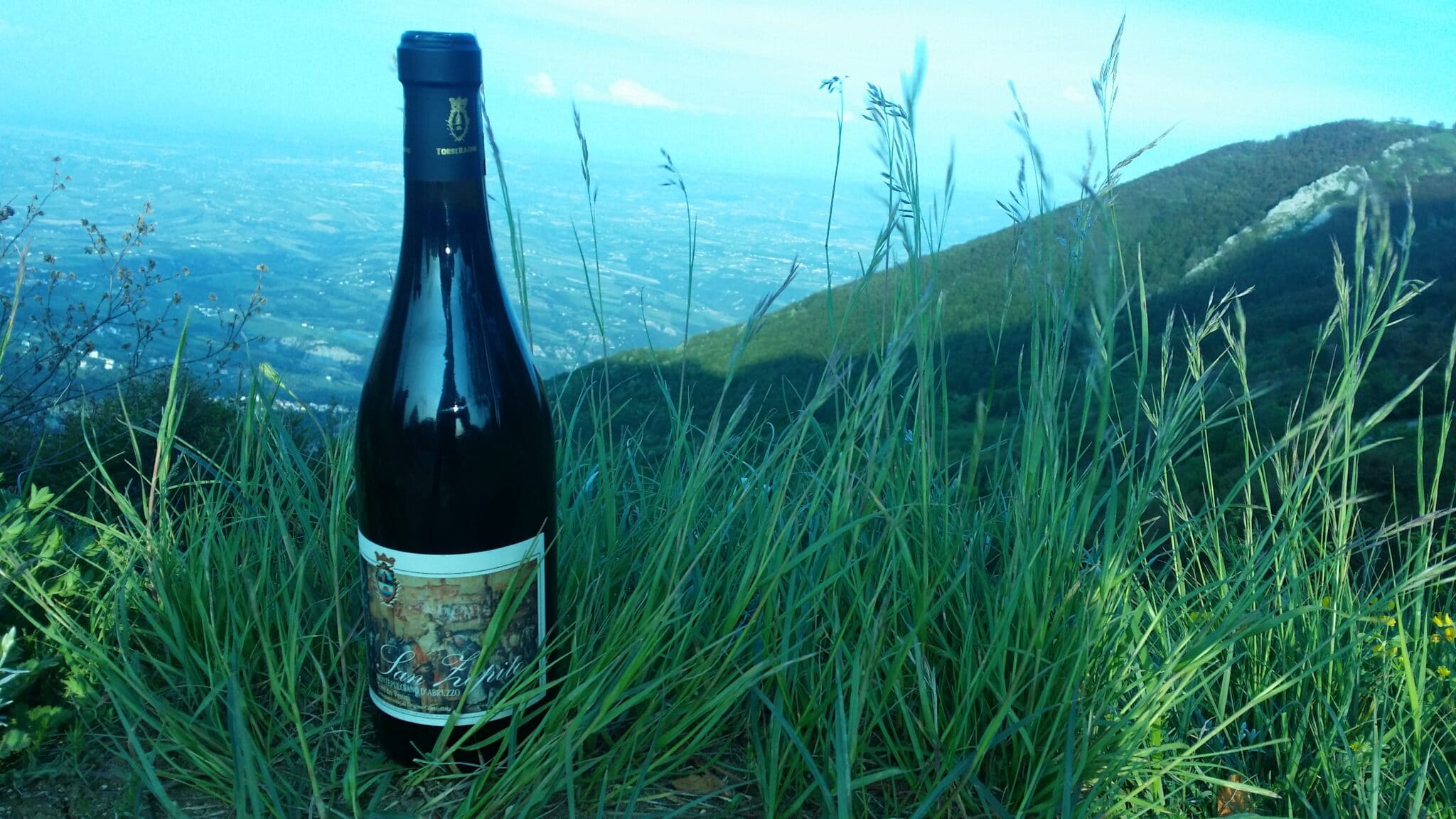Torre Raone Vintage Report - Enoteca Nederland